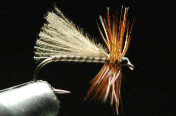 CDC Quill Body Midge Adult Natural/Brown – masuyume