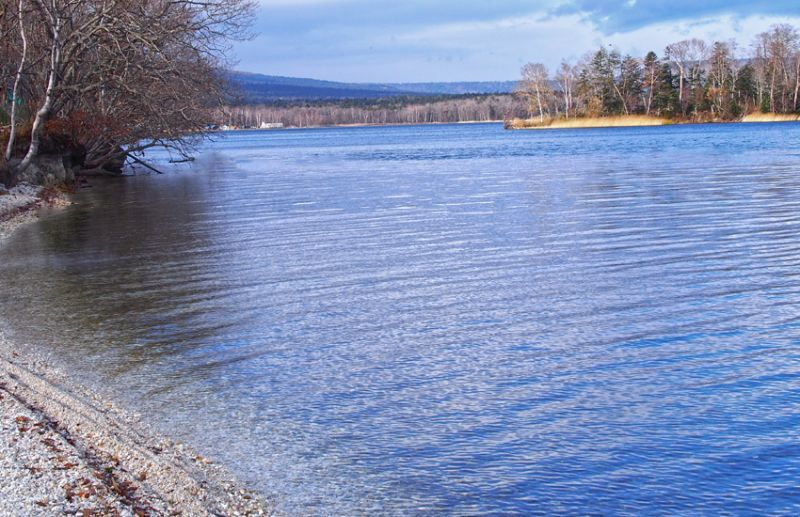 Lake Akan Wakasagi Floating (Sideways Float) Set of 2 – masuyume